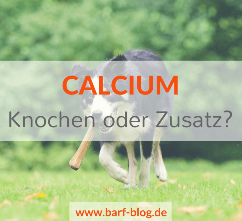 BARF - Welche Calciumquellen gibt es und welches ist die Beste?
