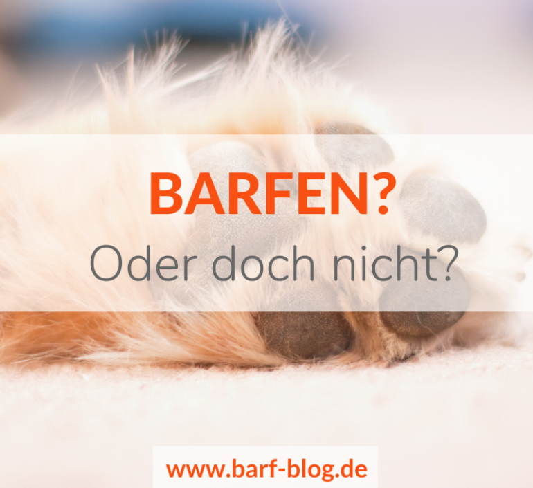 BARF - Hunde und Katzen artgerecht richtig barfen
